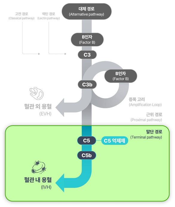 솔리리스가 보여준 PNH 임팩트…파발타로 이어질 것